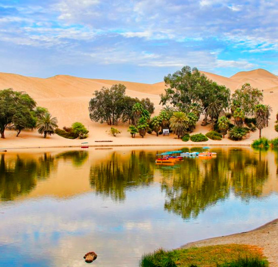 Full Day Paracas – Ica – Huacachina – Viñedos – Routes of Peru